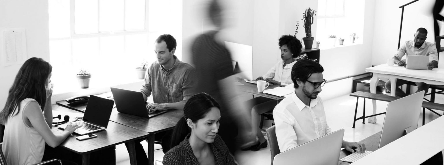 career - JCK Holding